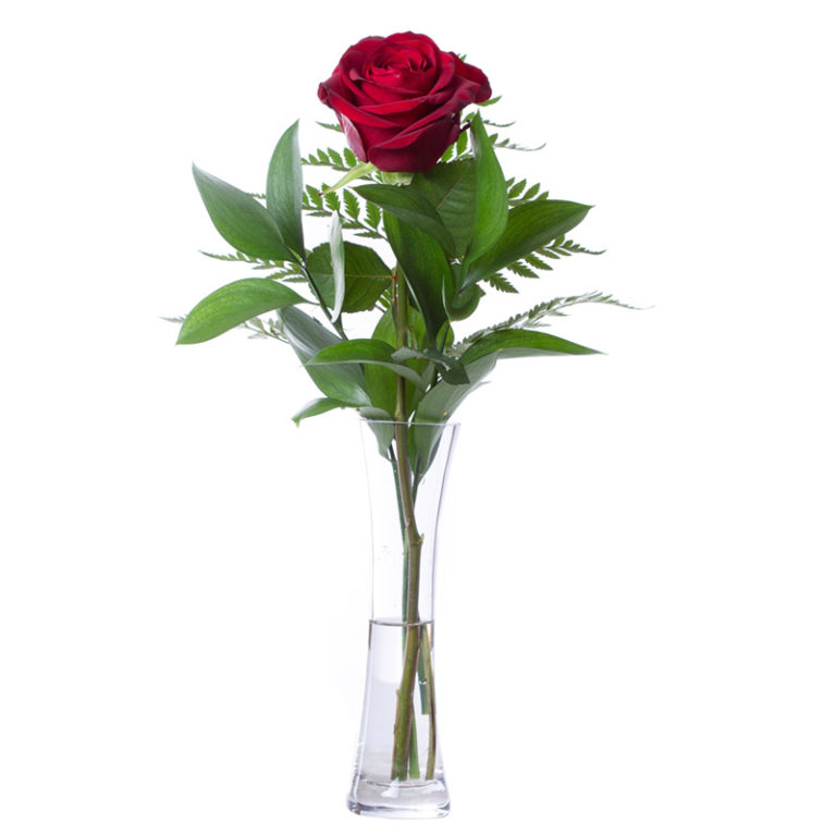 Bud Vase Red Rose : Andreas Florist