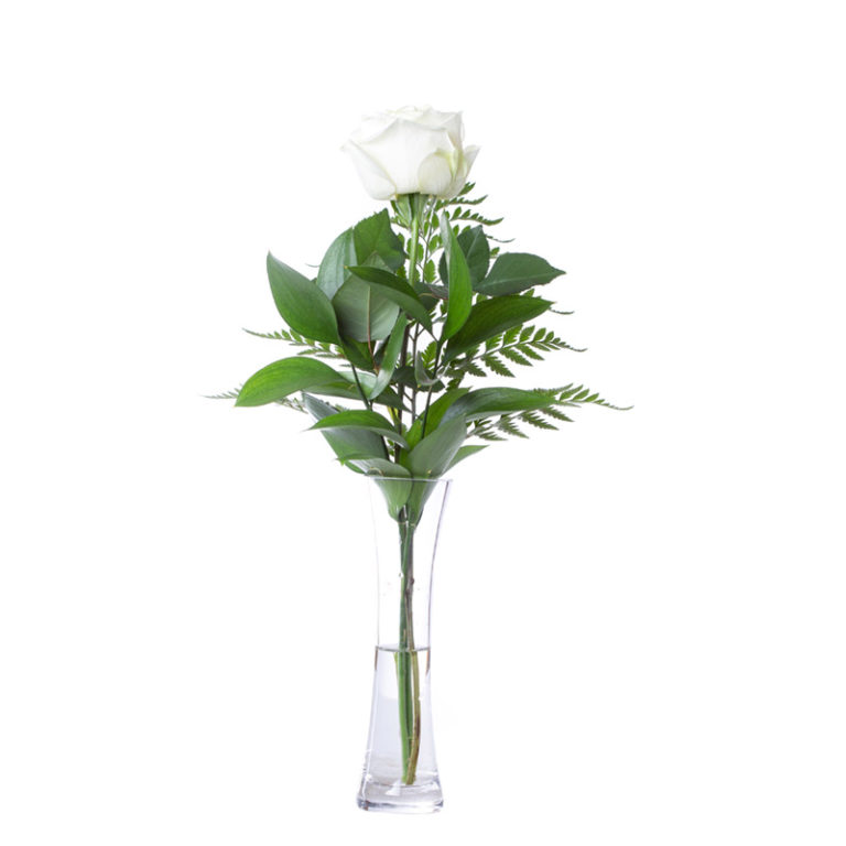 Bud Vase White Rose : Andreas Florist